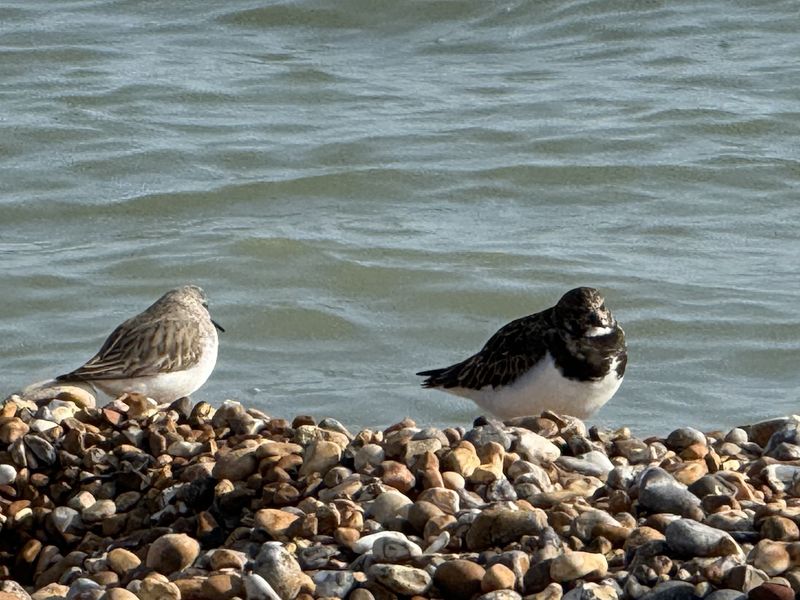 A Winters Day Trip To Rye